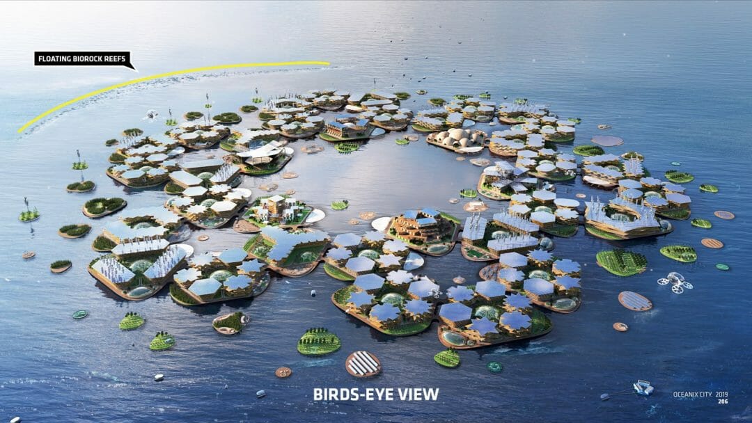 Marine Habitat Regeneration - Global Coral Reef Alliance