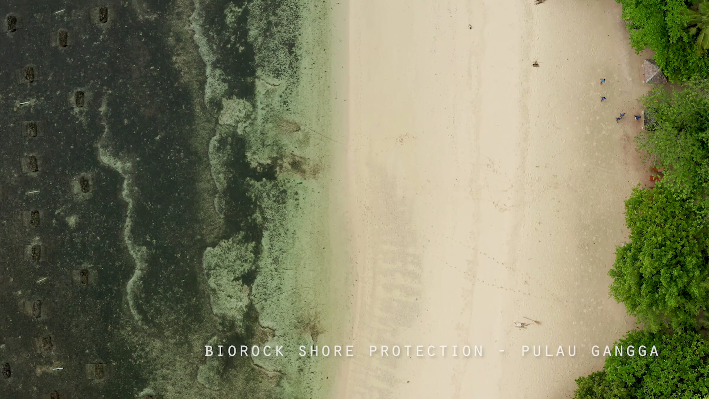 Climate-proofing Coastlines with Biorock Technology - Global Coral Reef ...