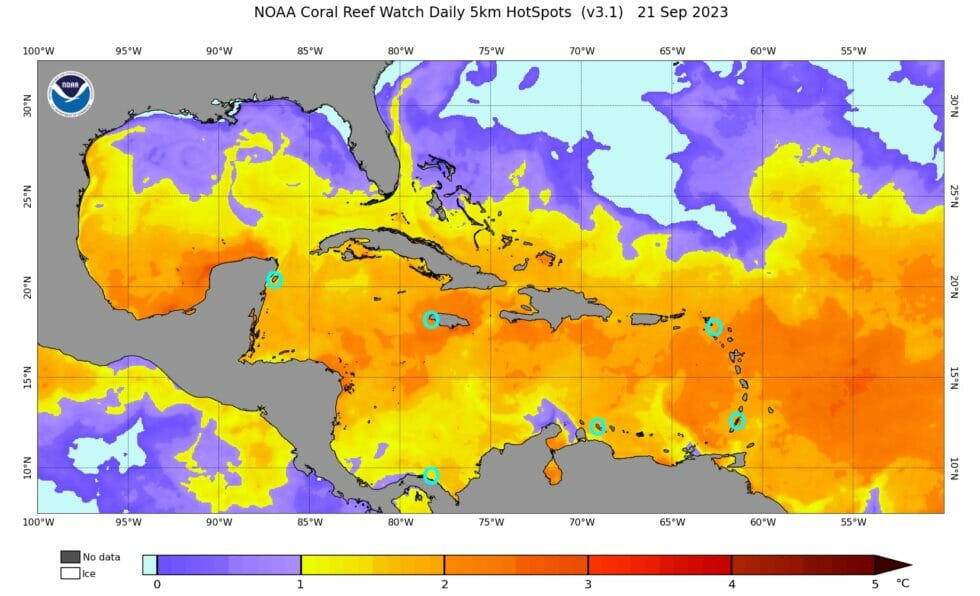 Deadly coral bleaching heat wave spreads across entire Caribbean ...