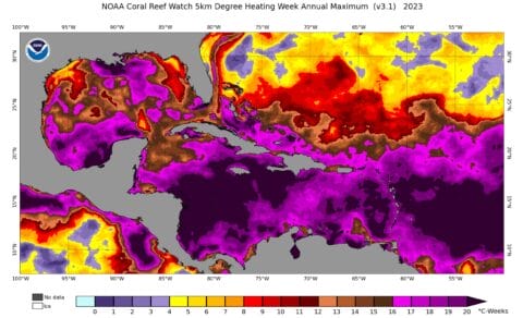 2023 record marine heat waves: Coral Bleaching HotSpot maps reveal ...