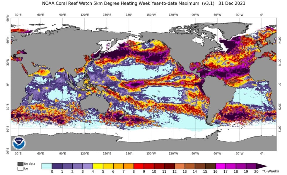 2023 record marine heat waves: Coral Bleaching HotSpot maps reveal ...