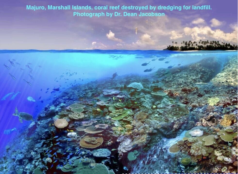 MALDIVES DREDGE DUMPING ON CORAL REEFS STOPPED BY INJUNCTION - Global ...