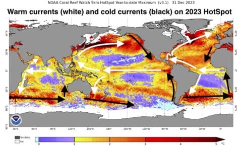 2023 Record marine heat waves: coral reef bleaching HotSpot maps reveal ...